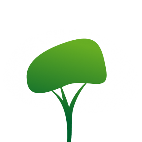 Lista Mejores Juegos De Mesa - Viveros Gimeno Salamanca